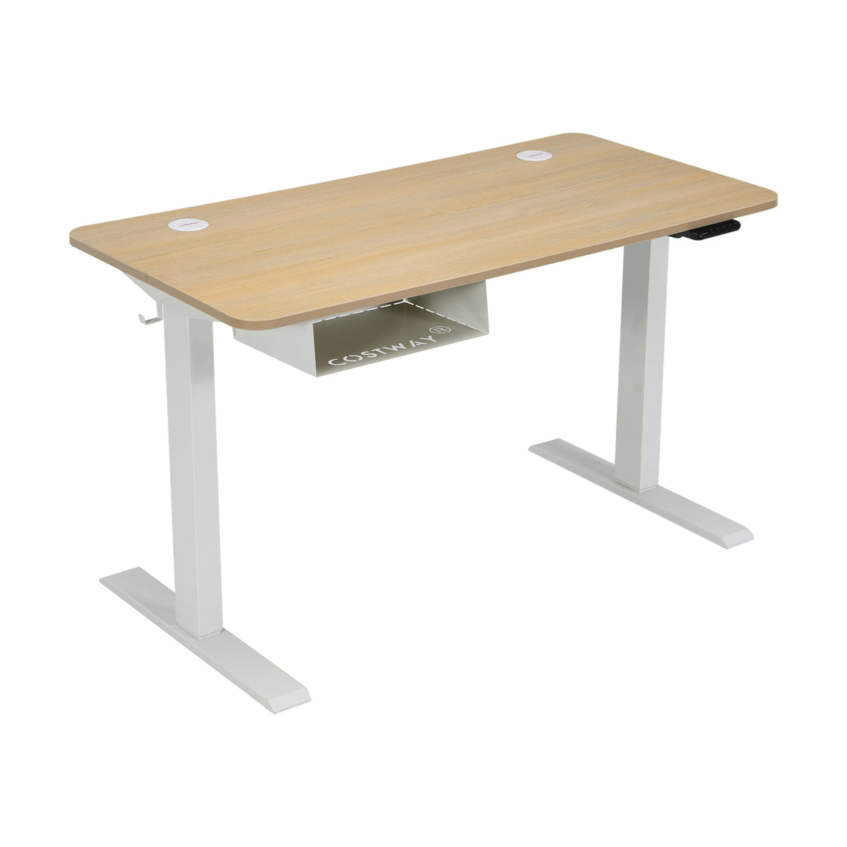 48 Inches Electric Standing Adjustable Desk with Control Panel and USB ...